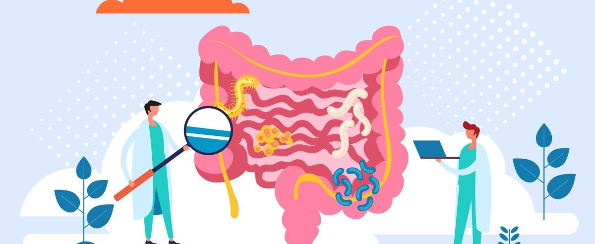 The health benefits of good bacteria & anatomē