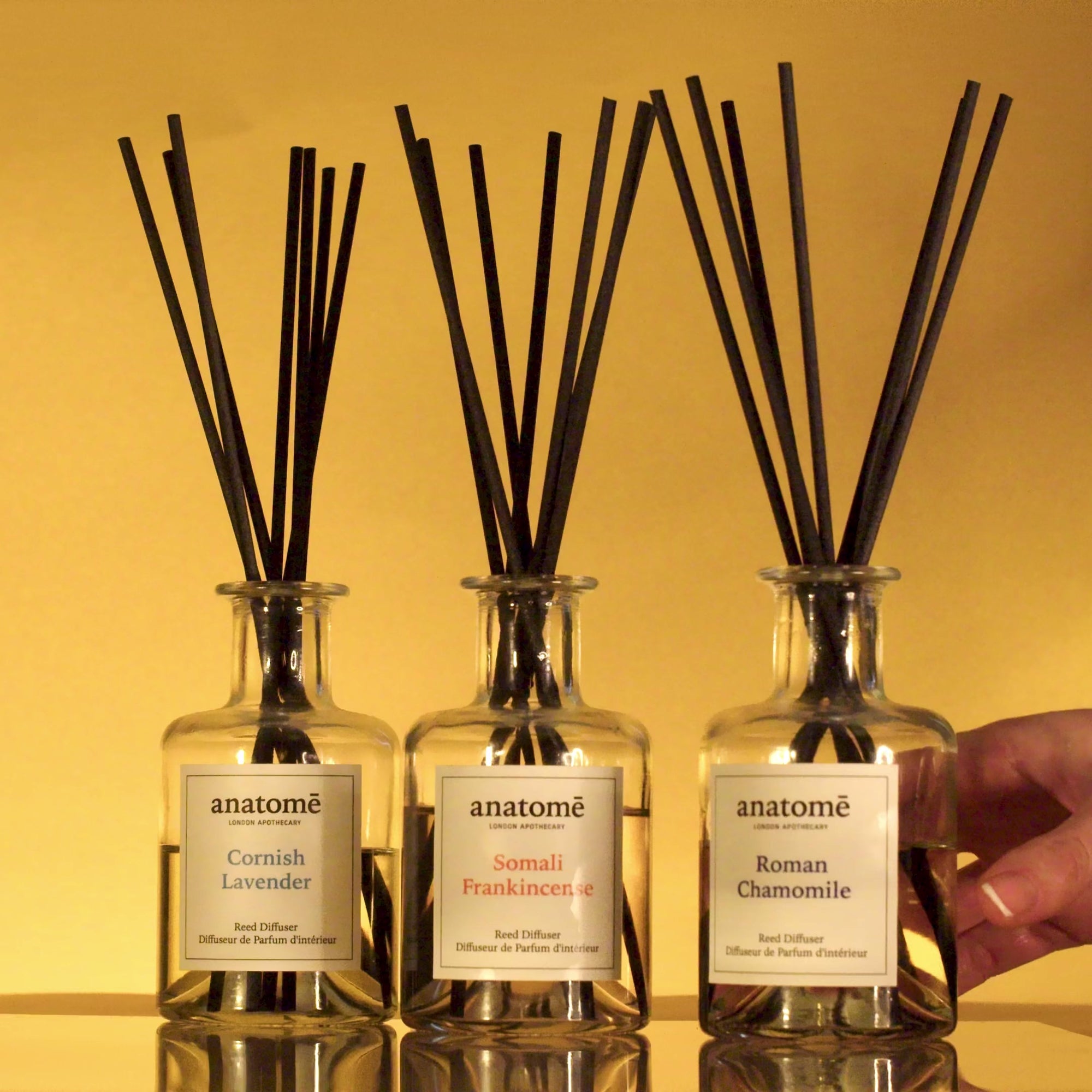 Roman Chamomile Reed Diffuser | Essential Oil Diffuser